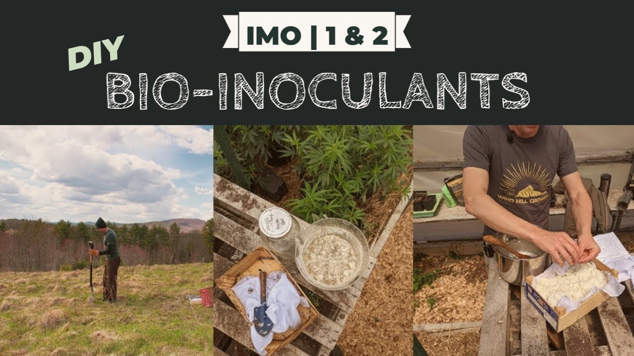 Collecting Indigenous Microorganisms / IMO 1 & 2 - YouTube