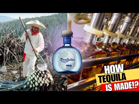 How TEQUILA is Made From Agave Plant | DON JULIO Tequila Production