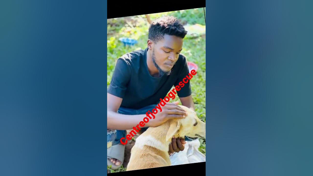 Mealtime is the perfect bonding time with my four-legged pals #dog #puppy #doglover #satisfying ...