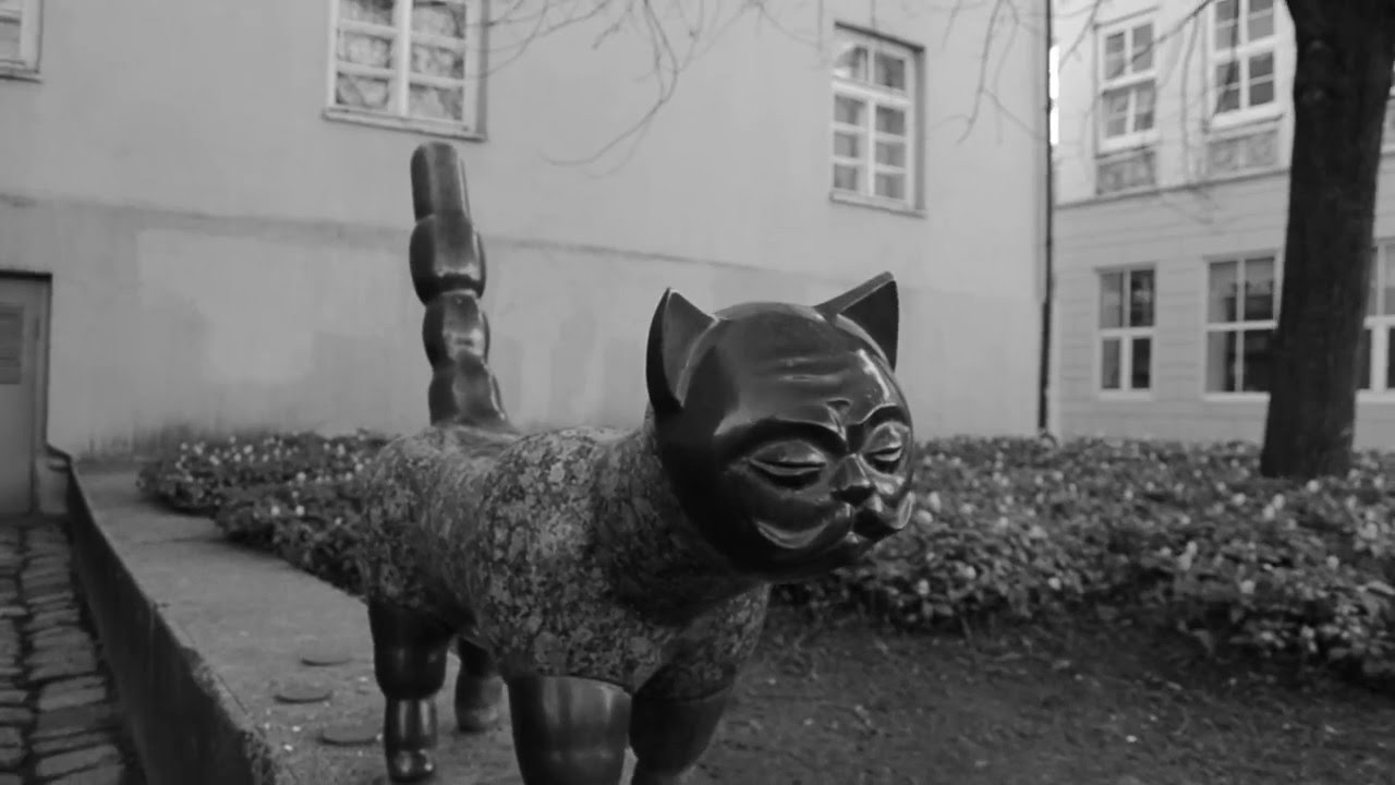 Kazys Binkis "Vokiškas Pavasaris" - YouTube