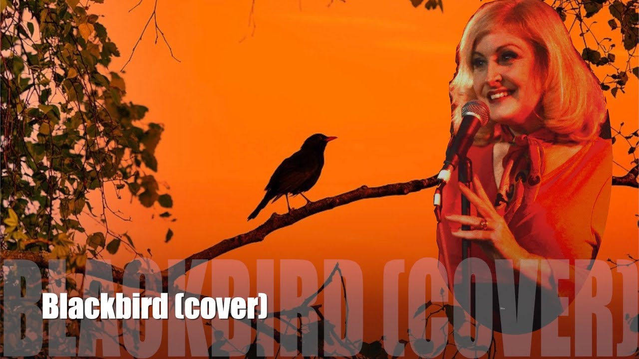 Blackbird The Beatles (Cover) HiDay. Please share, Comment and ...