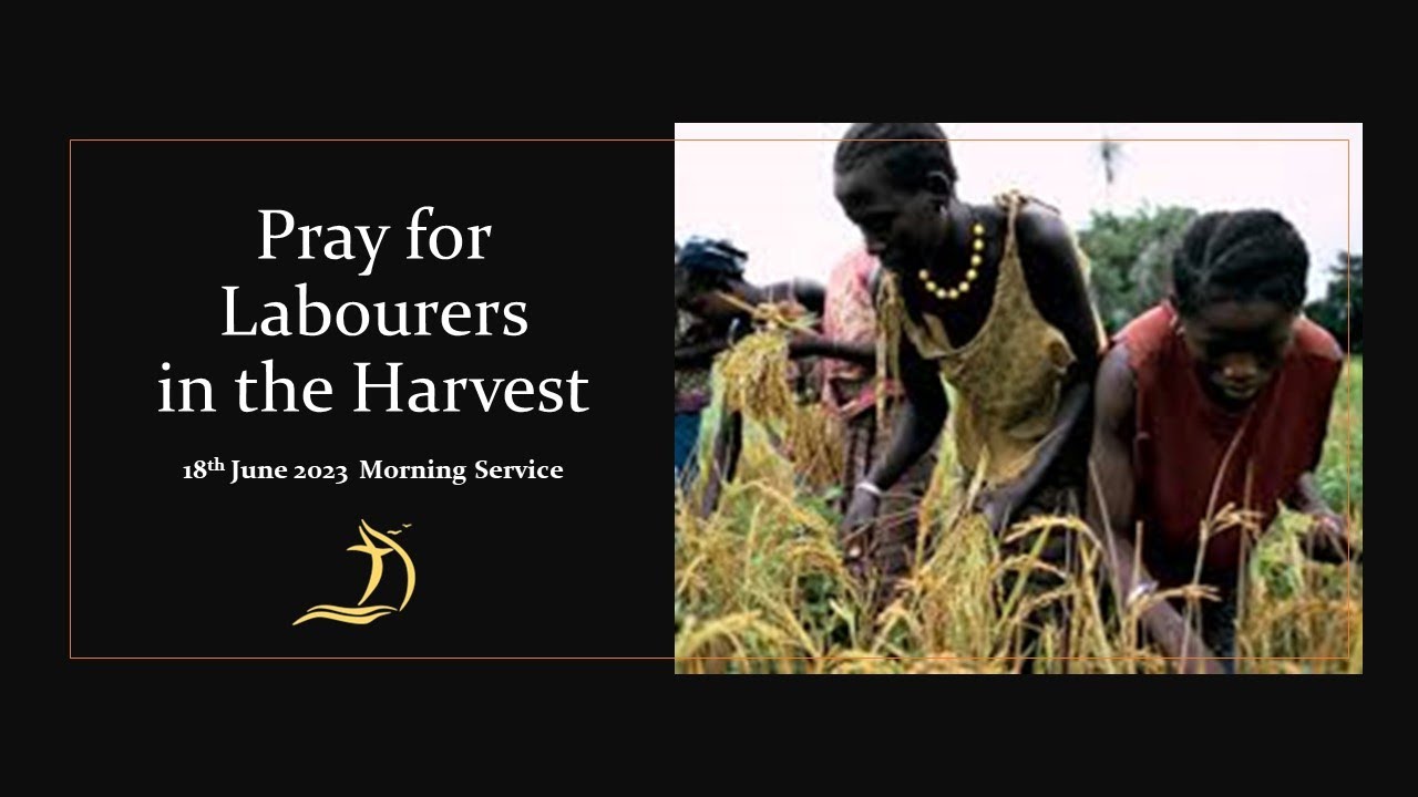 2023 06 18 Labourers in the Harvest - YouTube