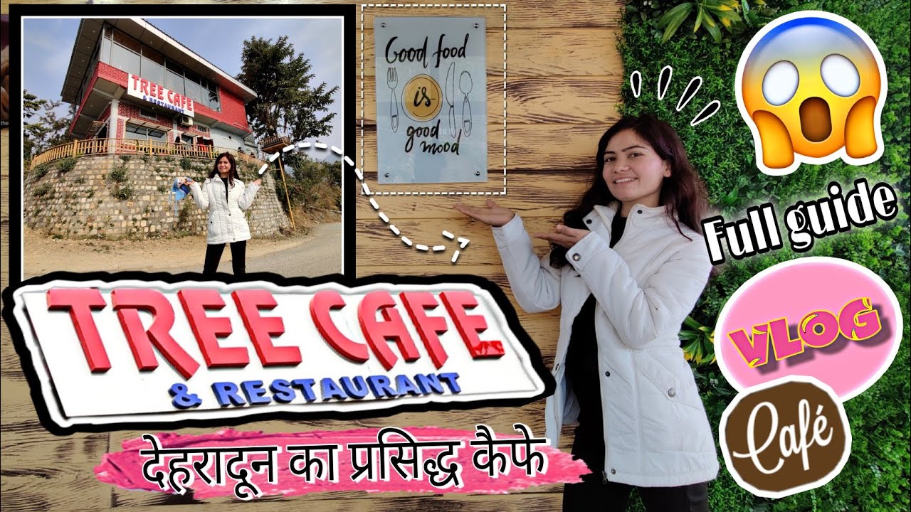 📍 TREE CAFE Dehradun - HOW TO GO? WHAT TO EAT? MY HONEST EXPERIENCE 🤗 ...