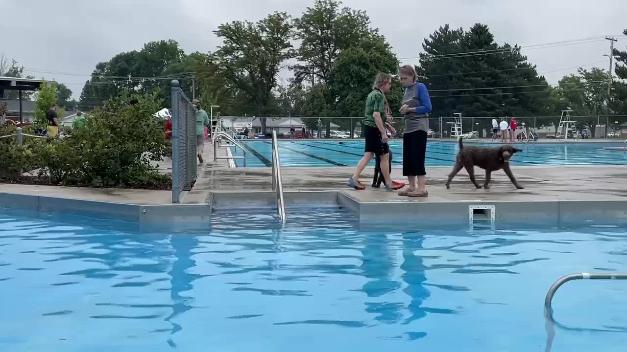 Dog Days of Summer at Rose Park Pool on Sunday - YouTube