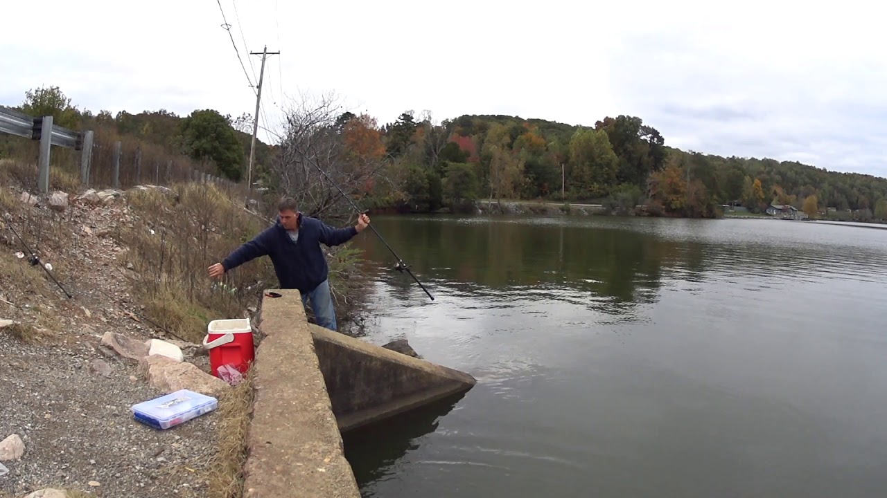 How to catch a Skipjack in 4 seconds - YouTube
