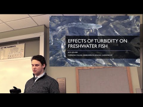Effects of Turbidity on Freshwater Fish Growth by Jack Layland - YouTube