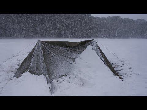 3 дня одиночного зимнего похода | буран, озеро, сосновый лес, стейк | Ep1