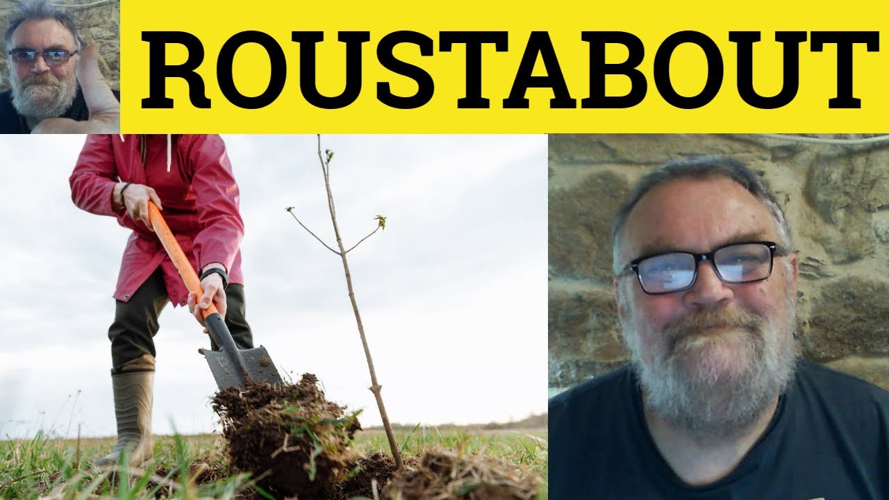 🔵 Roustabout Meaning - Roustabout Examples - Roustabout Defined - US ...