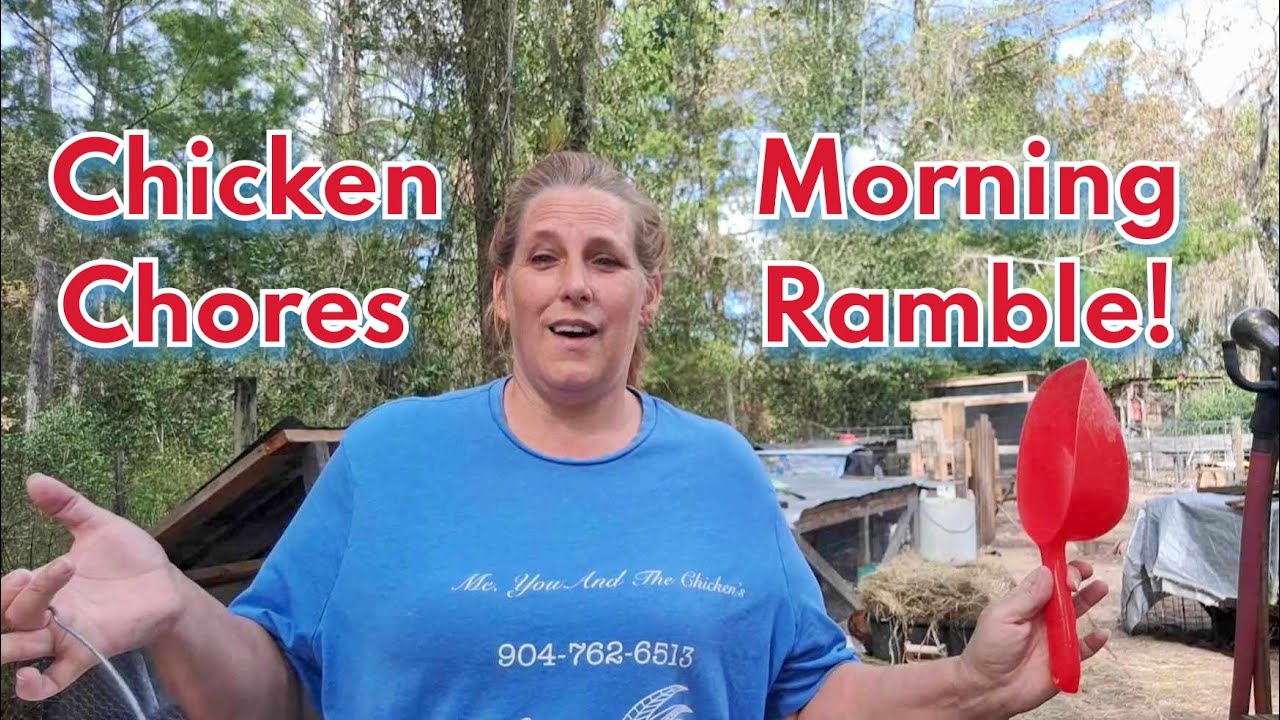 Chicken Chores Morning Ramble Youtube
