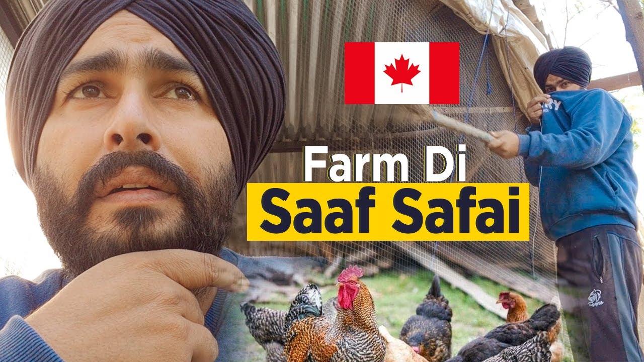Sunday Nu Farm Di Saaf Safai - YouTube