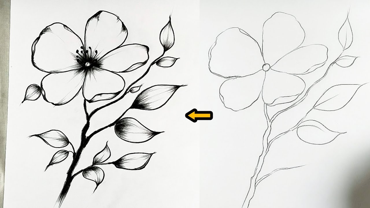 how to flower drawing || flower simple draw - YouTube