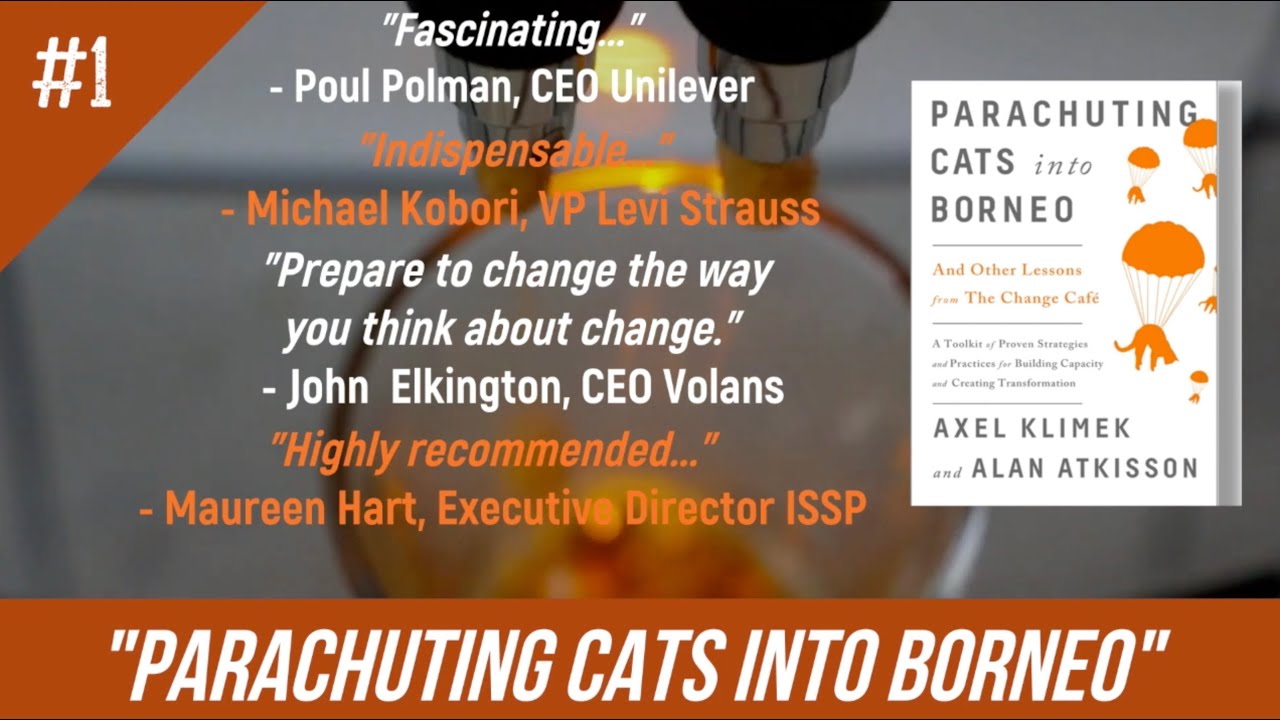 #1 Parachuting Cats into Borneo - YouTube
