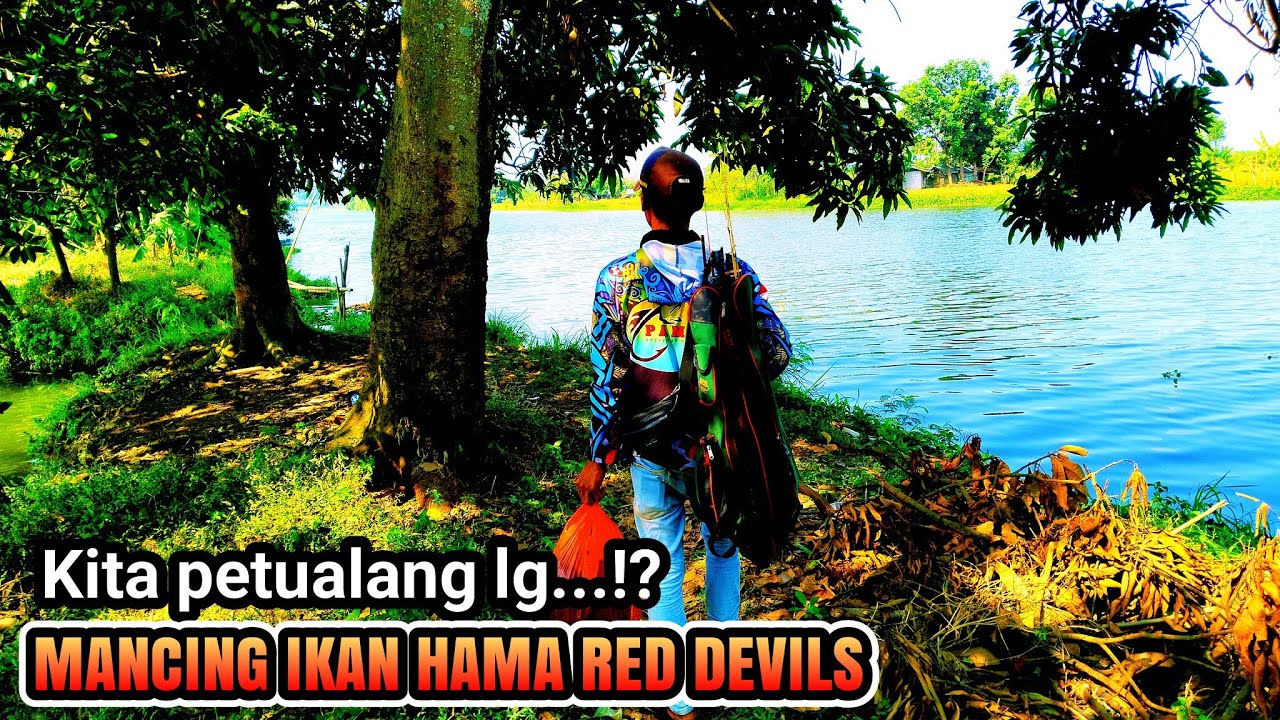 PERJUANGAN DAN DO'A ‼️mancing ikan hama red devils di seberang langsung ...