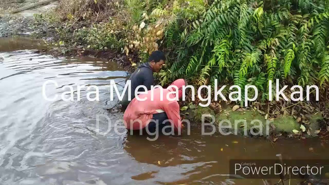 Cara Menangkap Ikan Dengan Benar - YouTube