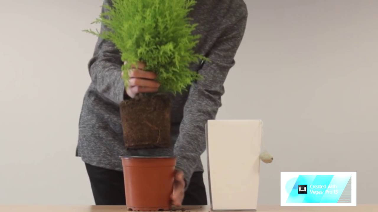 Bioo lite charger - YouTube