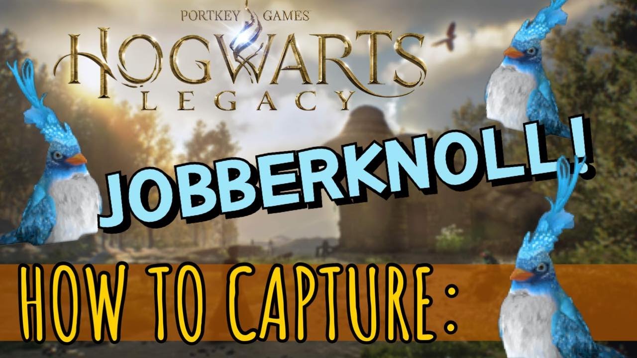 ⚡Where to Find and Capture the Jobberknoll in Hogwarts Legacy⚡ - YouTube