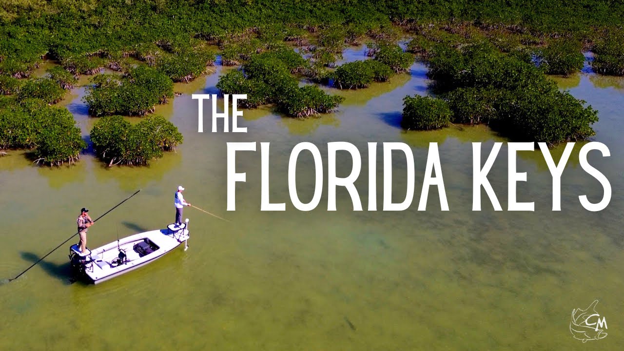 Fishing a Backwater Tournament in the FLORIDA KEYS - YouTube