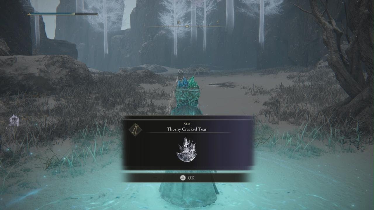 ELDEN RING - How to find the Minor Erdtree in the Consecrated ...