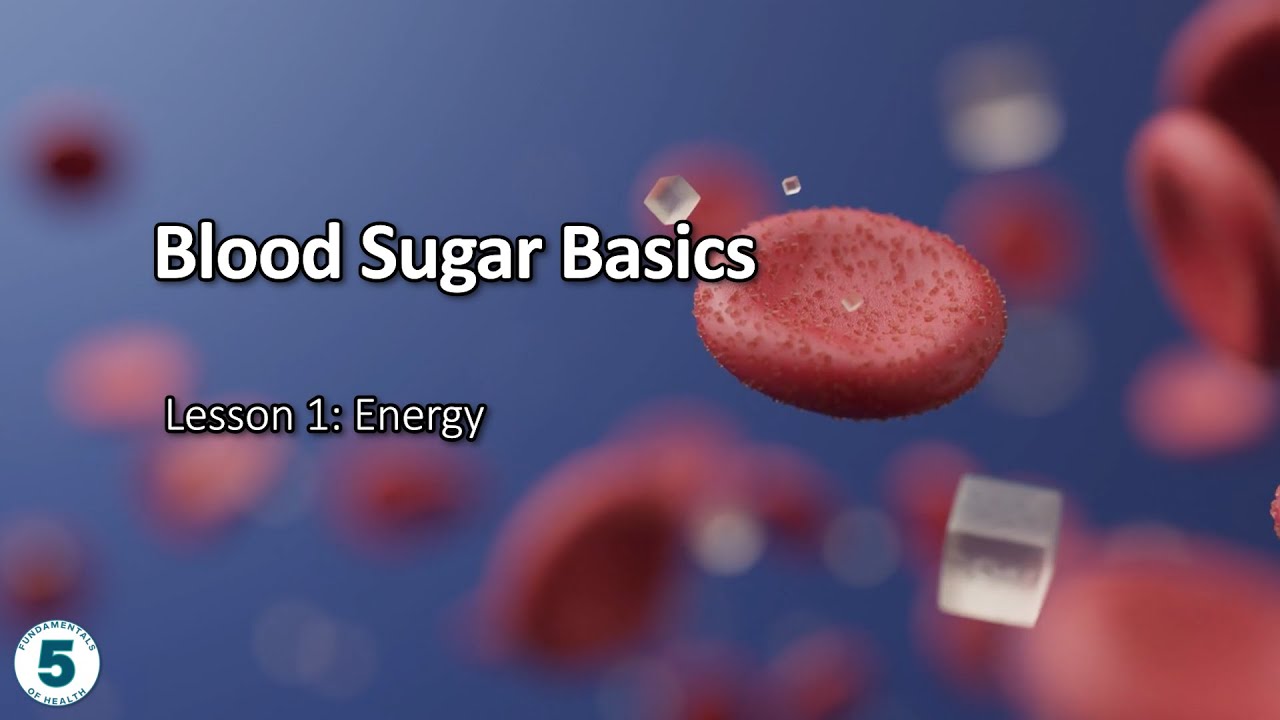 Blood Sugar Basics Lesson 1: Energy - YouTube