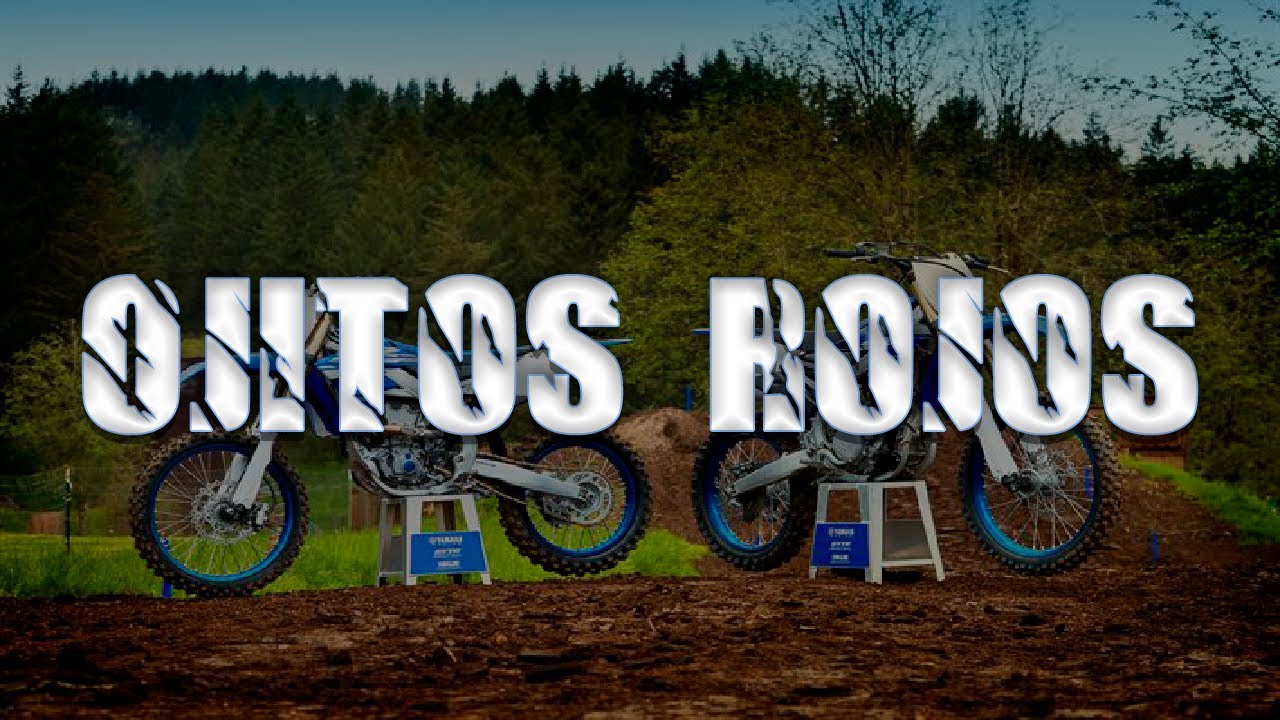 BLESSD RYAN CASTRO | OJITOS ROJOS REMIX (VERSION EXTENDED) - YouTube