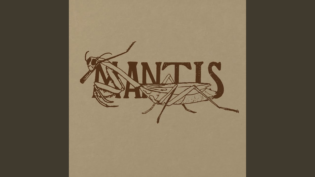Mantis - YouTube