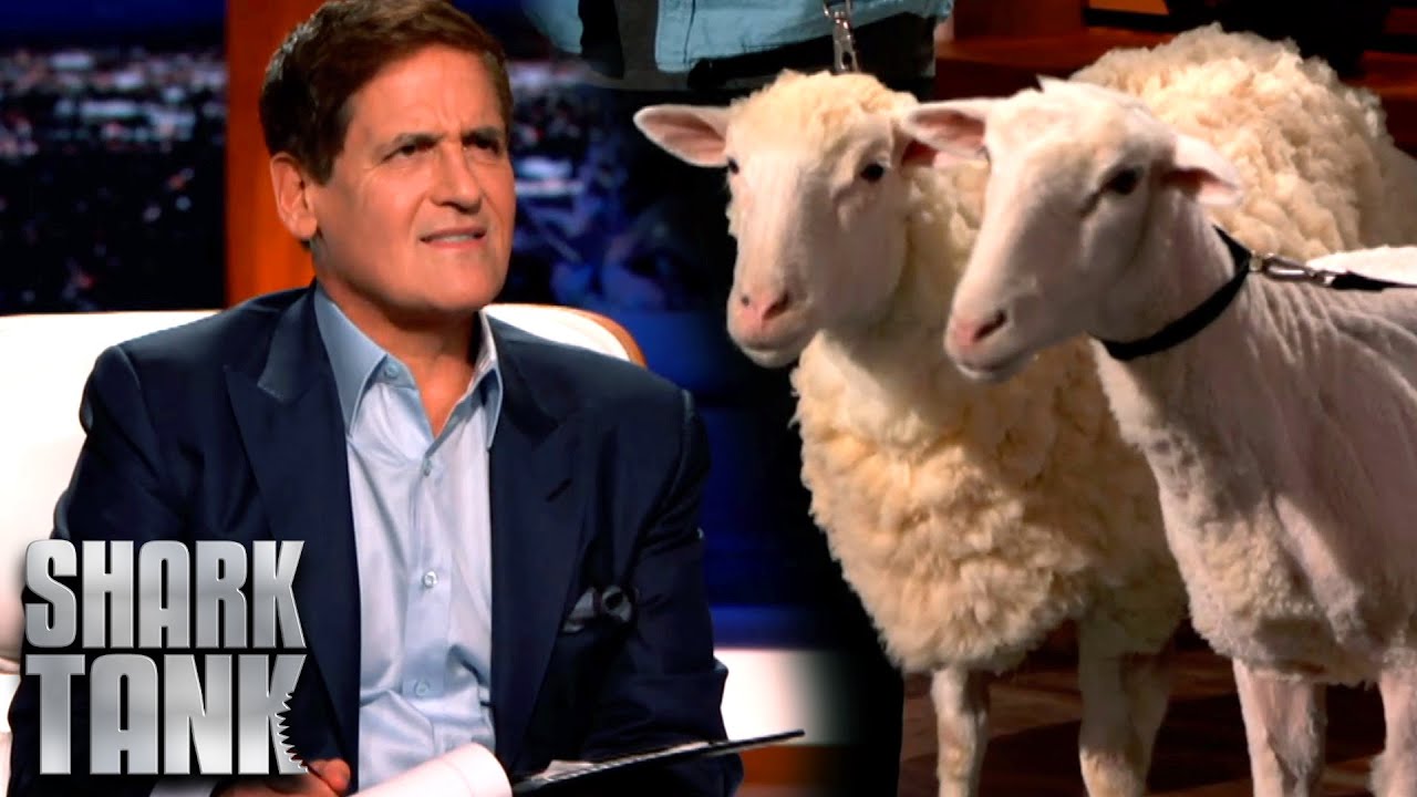 Shark Tank US | Fur Entrepreneurs Bring SHEEP Into The Tank - YouTube