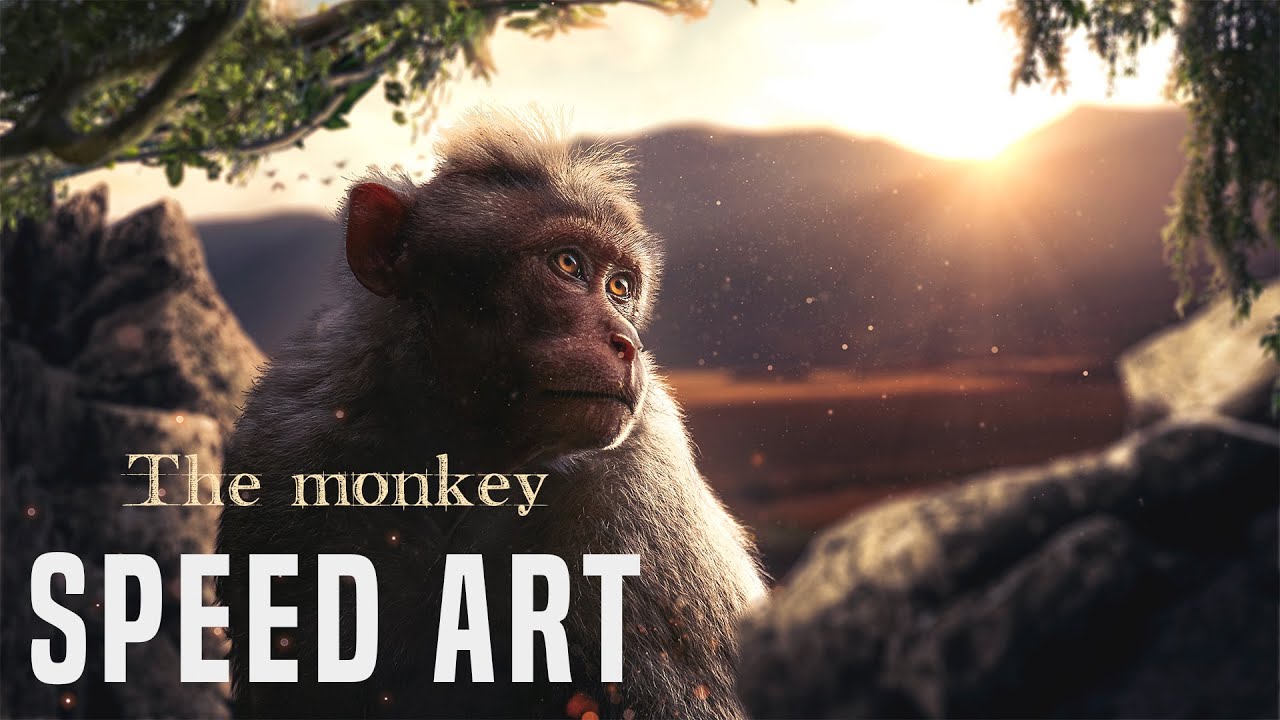 Create a SUNSET scene with a monkey in PHOTOSHOP, photomanipulation ...