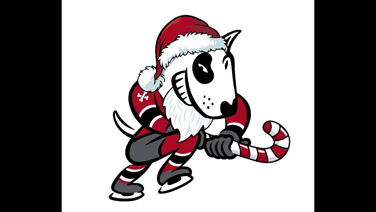 2018-19 Niagara IceDogs Holiday Video - YouTube