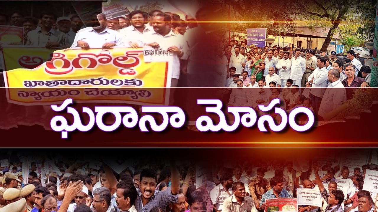 Special Story On Agri Gold Scam || No.1 News - YouTube