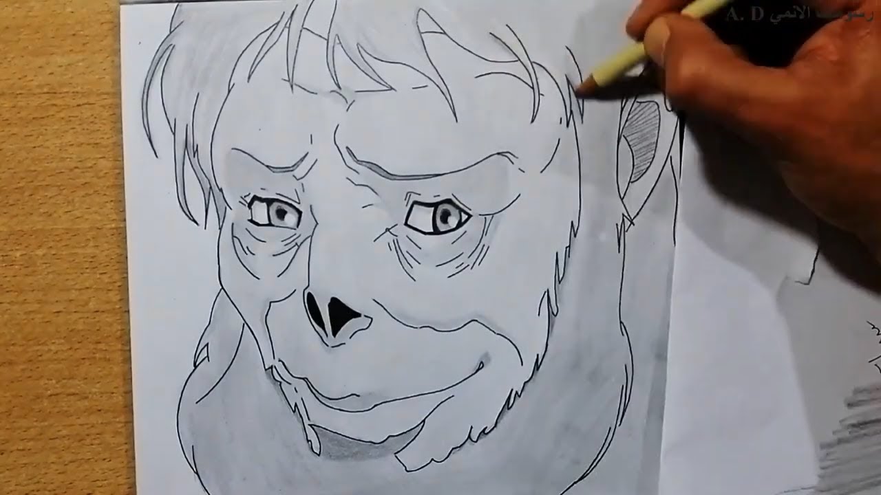 how to draw beast titan | how to draw the beast titan | drawing anime ...