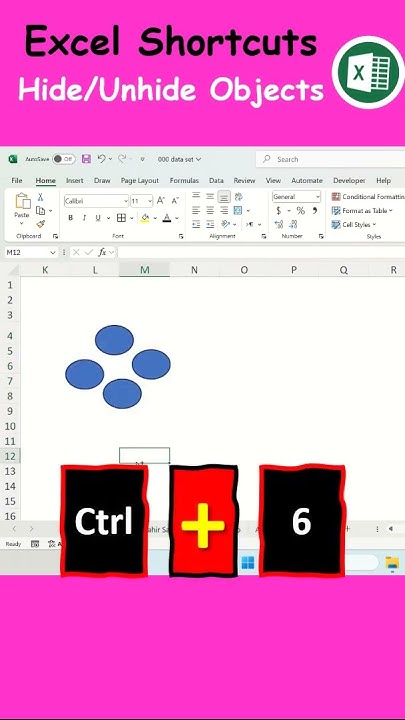How to Hide or Unhide Objects in MS Excel using Keyboard Shortcuts - YouTube