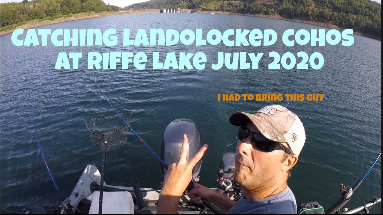 Riffe Lake Landlocked Coho salmon July 2020 - YouTube