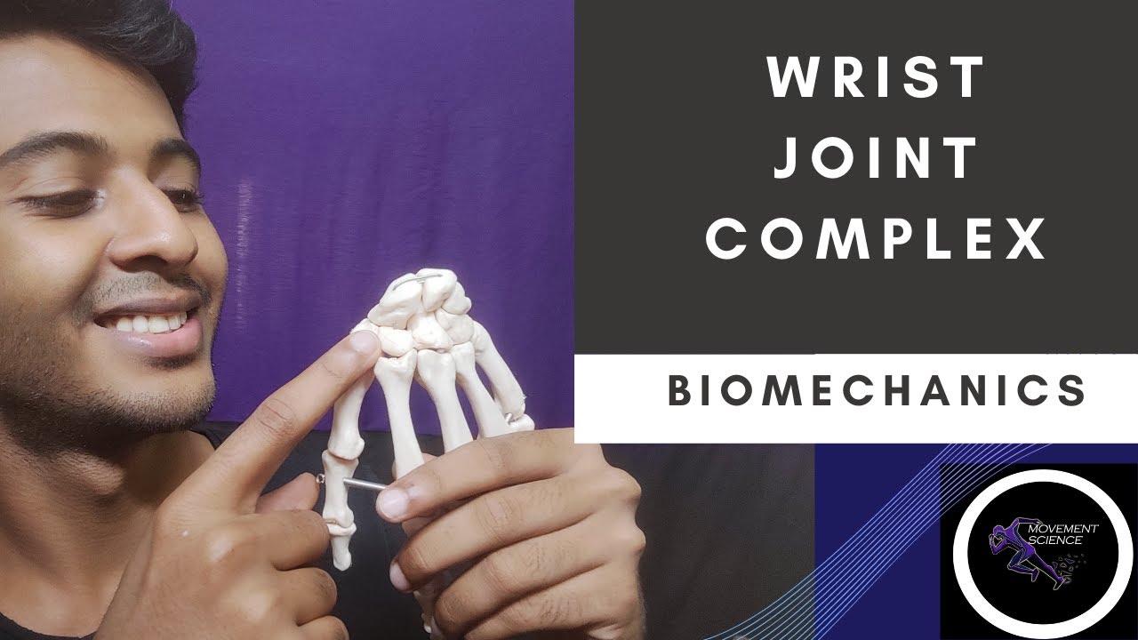 WRIST JOINT INTRODUCTION ( WRIST JOINT COMPLEX BIOMECHANICS ...