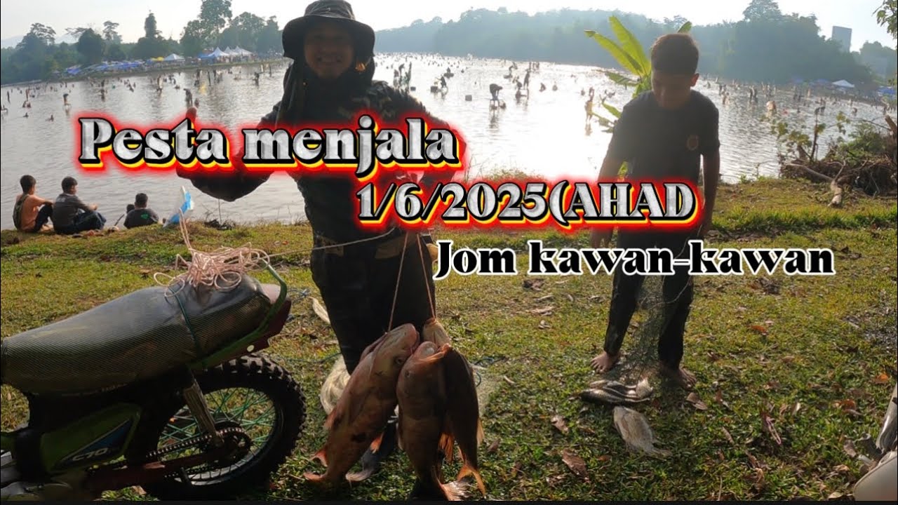Pesta menjala ikan estet ikan PAYA CHEMPAKA lanchang pahang - YouTube