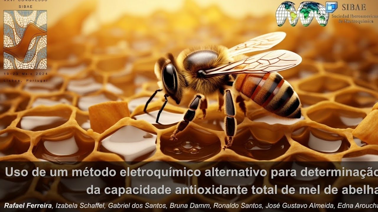 Apresentação oral - SIBAE/Lisboa - YouTube