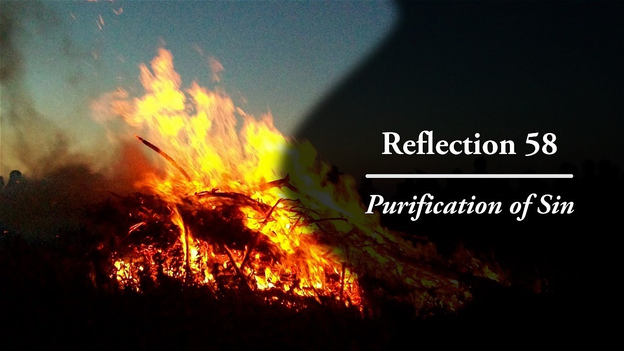 Reflection 58: Purification of Sin - YouTube