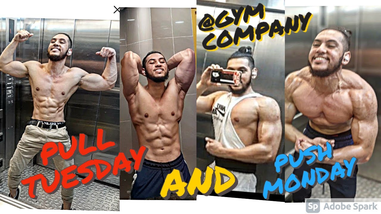 TAKING OVER 'GYM COMPANY' MUSGRAVE PUSH AND PULL. - YouTube