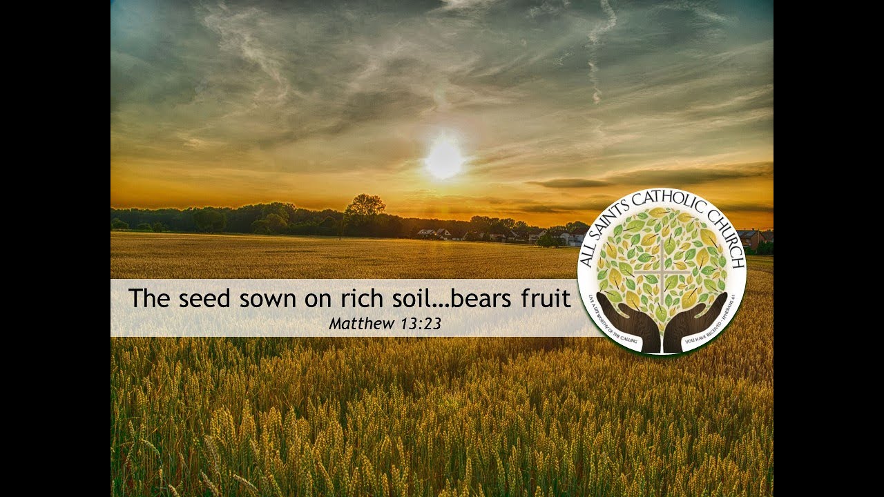 Jesus' parable of the wheat and weeds: Homily July 19, 2020 - YouTube