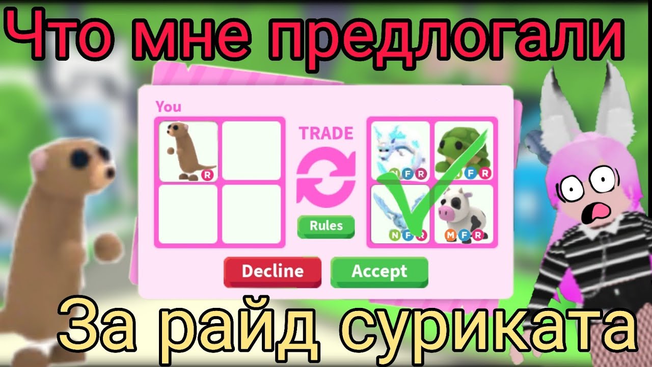 ЧТО МНЕ ПРЕДЛГАЛИ ЗА РАЙД СУРИКАТА В АДОПТ МИ Youtube
