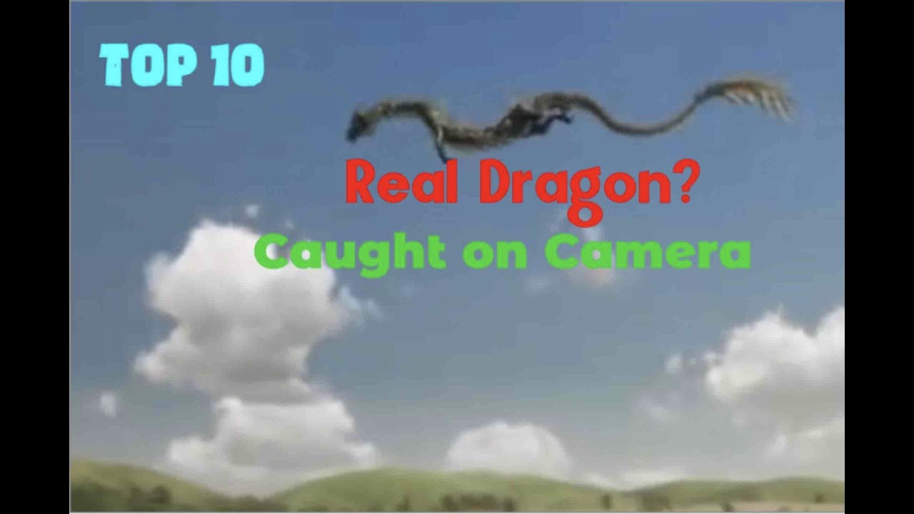 Top 10 real Dragon caught on camera,top 10 hình ảnh Rồng thật xuất hiện ...