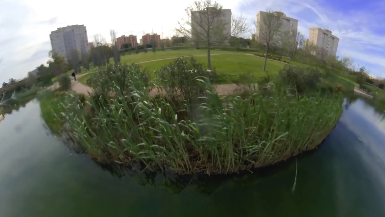Vuelo panorámico 4K sobre el Parque Inundable la Marjal de Alicante ...