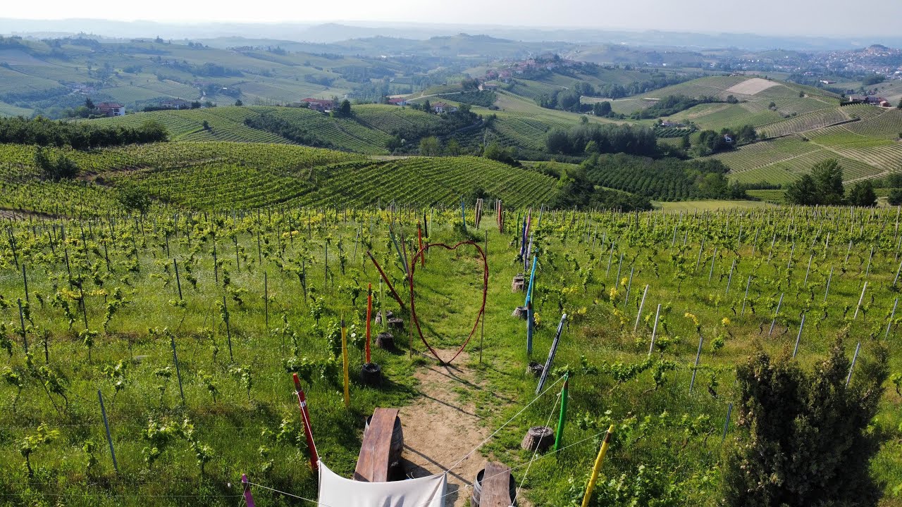Vigna dei Pastelli, viaggio tra Coazzolo e Barbaresco - Langhe CN - YouTube