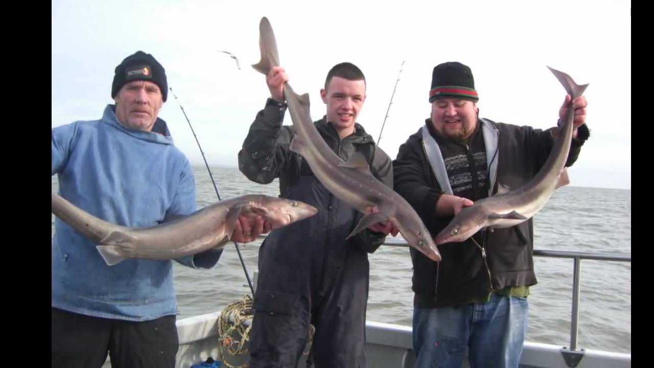 Anchorman Charters - Bristol Channel Fishing - YouTube