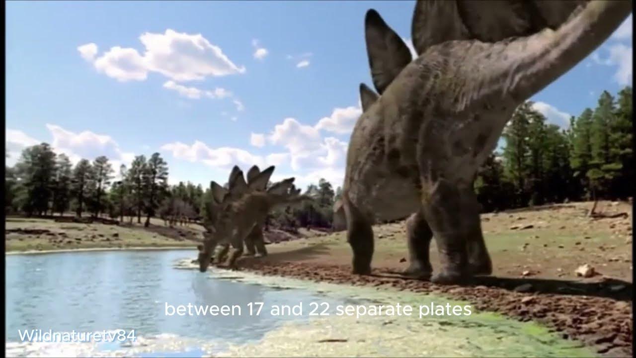 Dinosaur Battles: T-Rex VS Stegosaurus | Jurassic World | Mattel Action! - YouTube