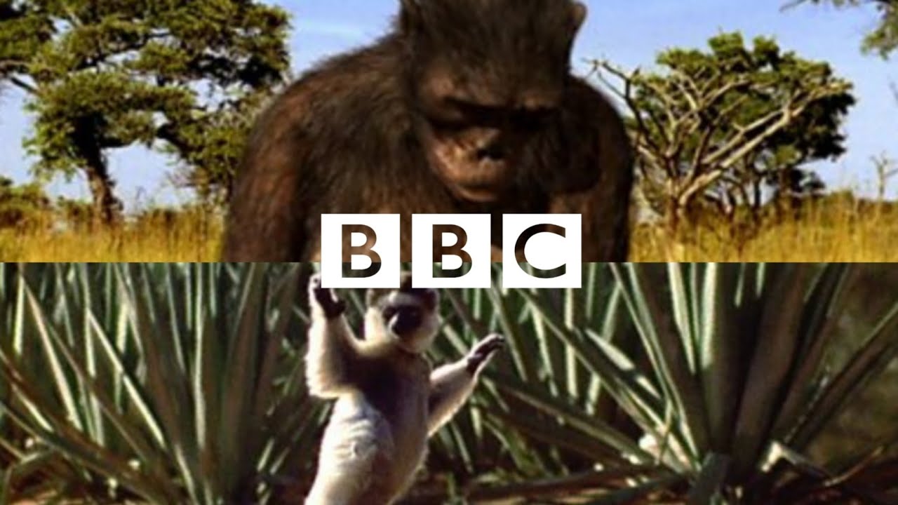 BBC Primate Collection - YouTube
