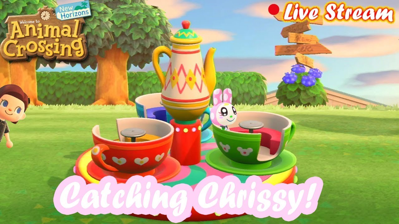 🔴Live Stream - Catching Chrissy // Animal Crossing New Horizons - YouTube