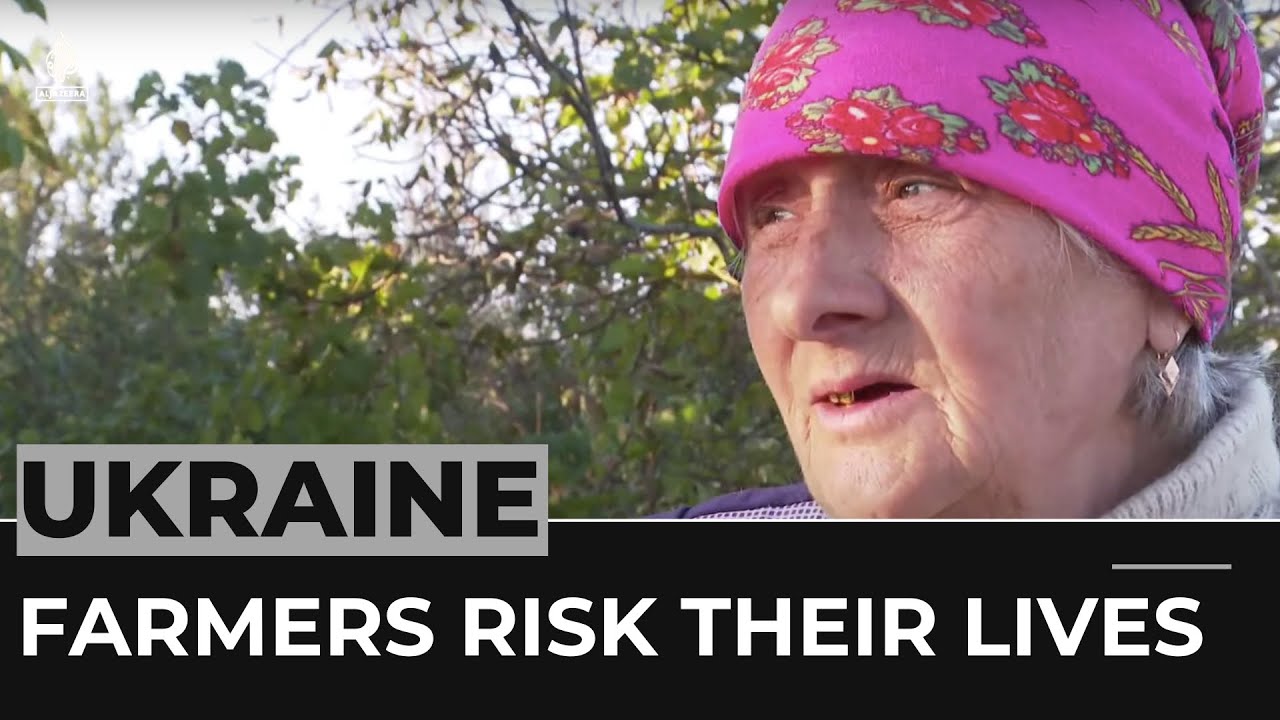 Ukraine farmers risk their lives to harvest crops near front lines ...