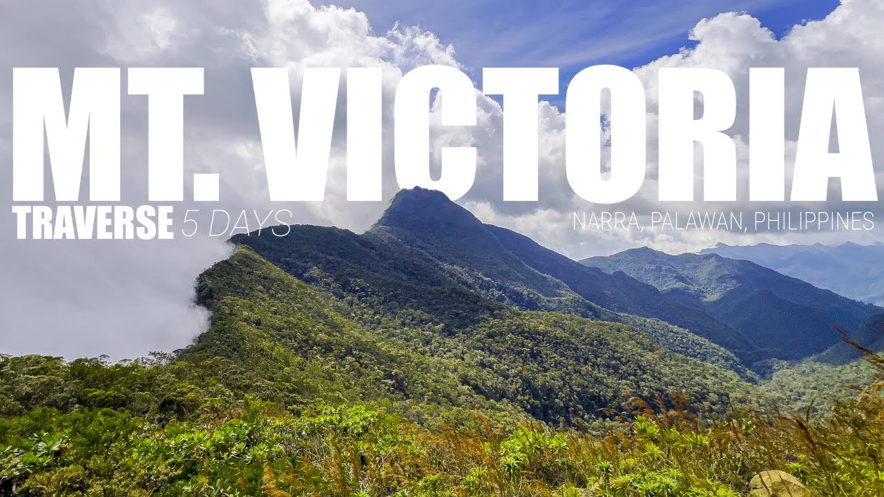 Mt. Victoria Traverse – Hidden Gem of Palawan (Epic Hiking Adventure ...