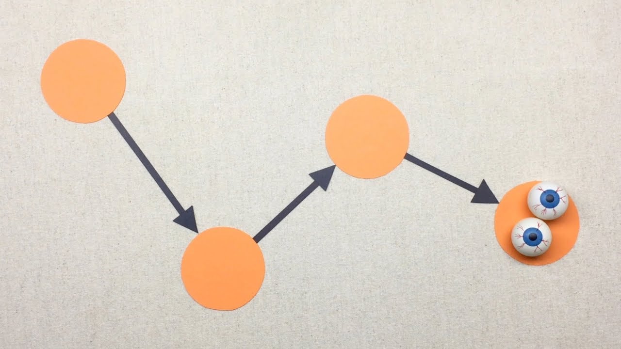 Visual Instincts - YouTube