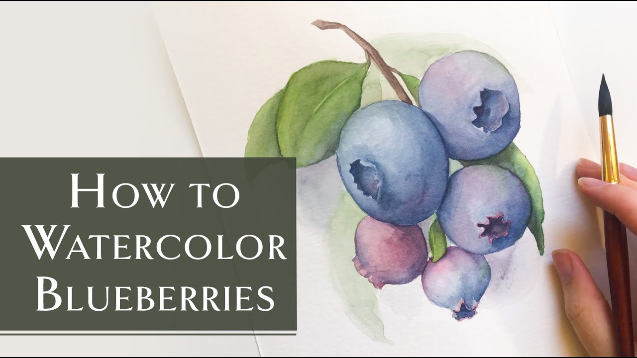 How To Watercolor Blueberries for Beginners - YouTube